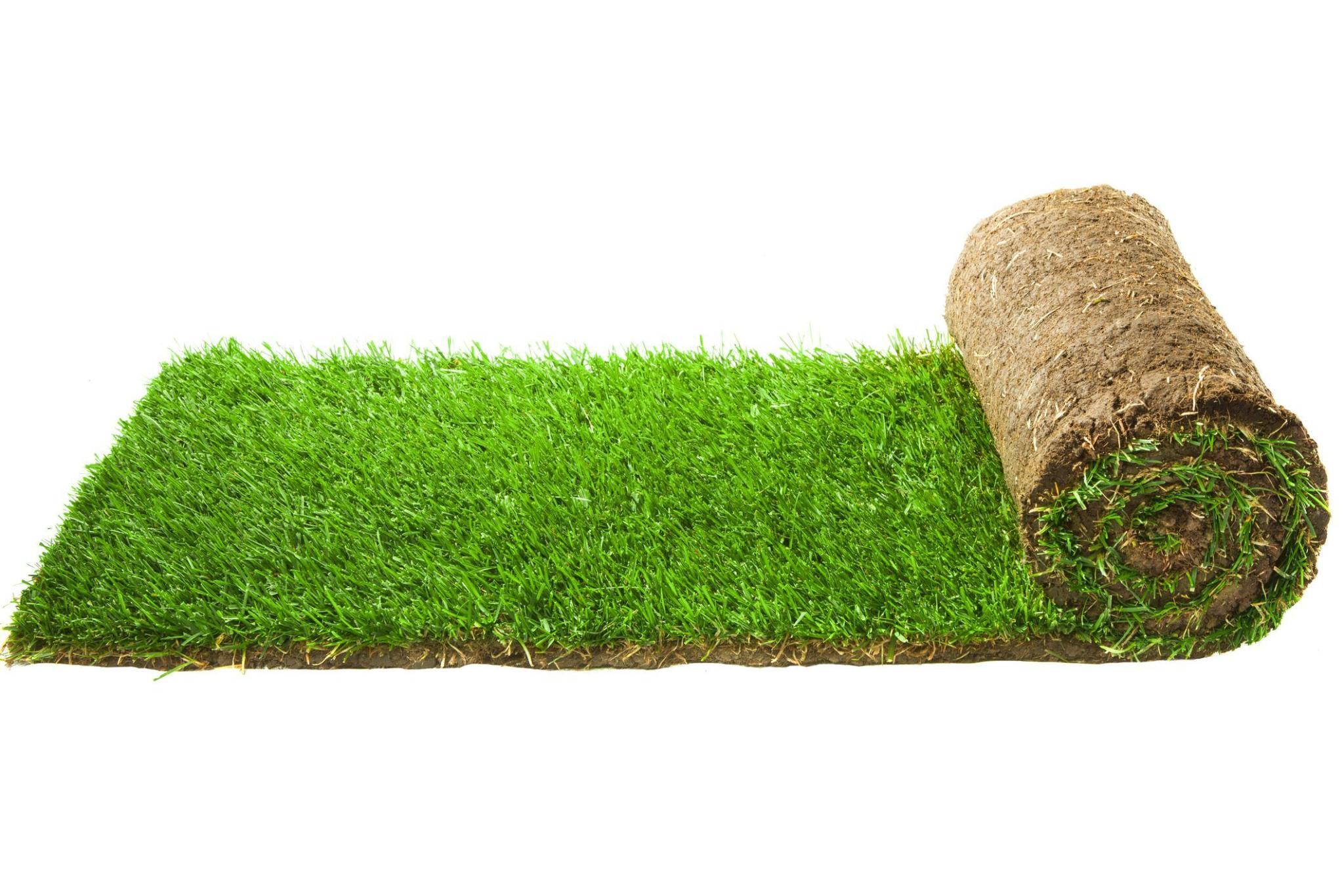 Top Turf | Quality Turf Unbeatable Prices