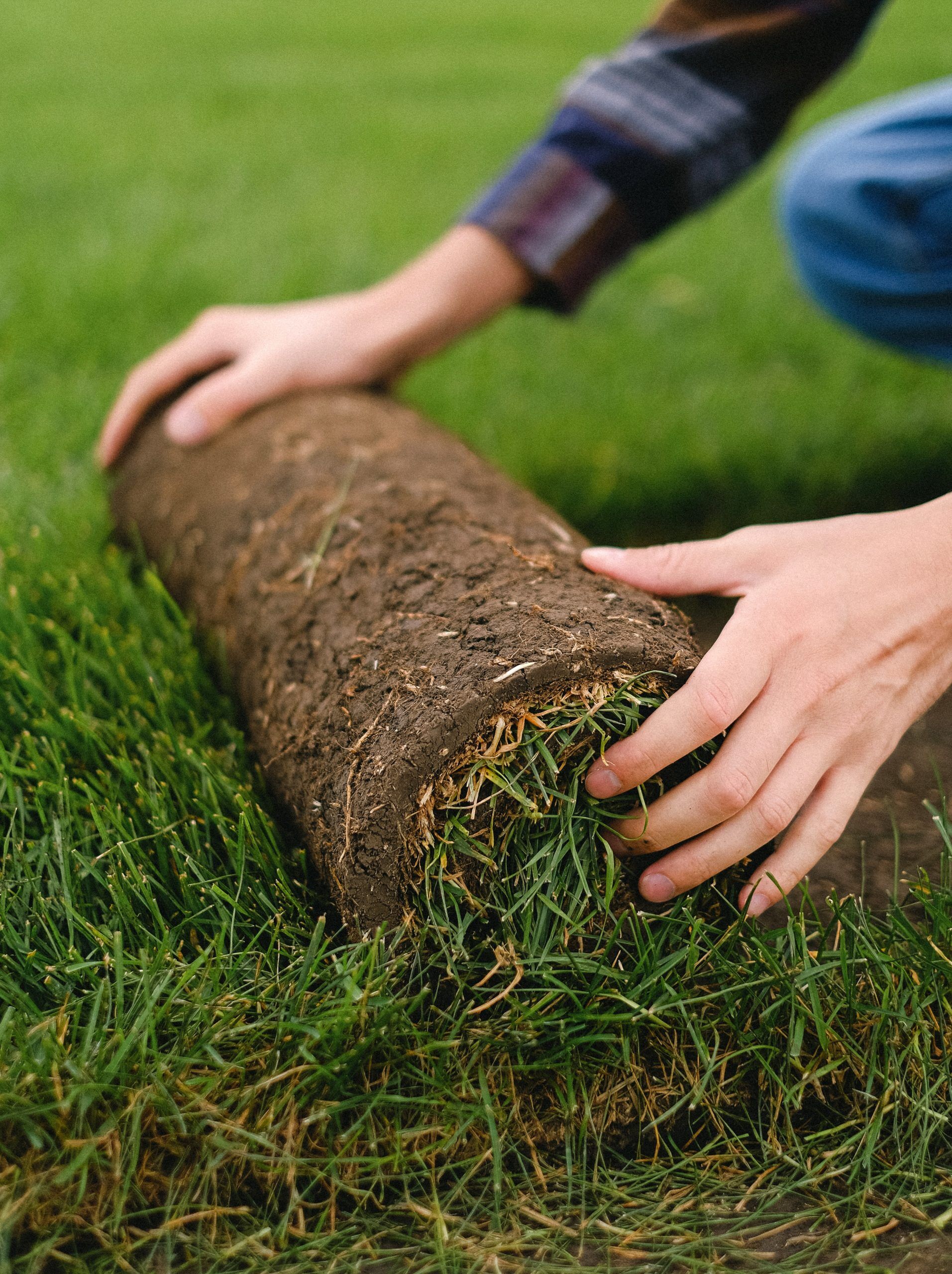 Top Turf | Quality Turf Unbeatable Prices